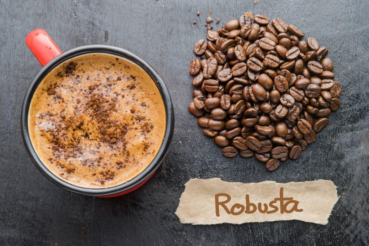 The Characteristics of Robusta Coffee - Coffee Lifestyle Blog